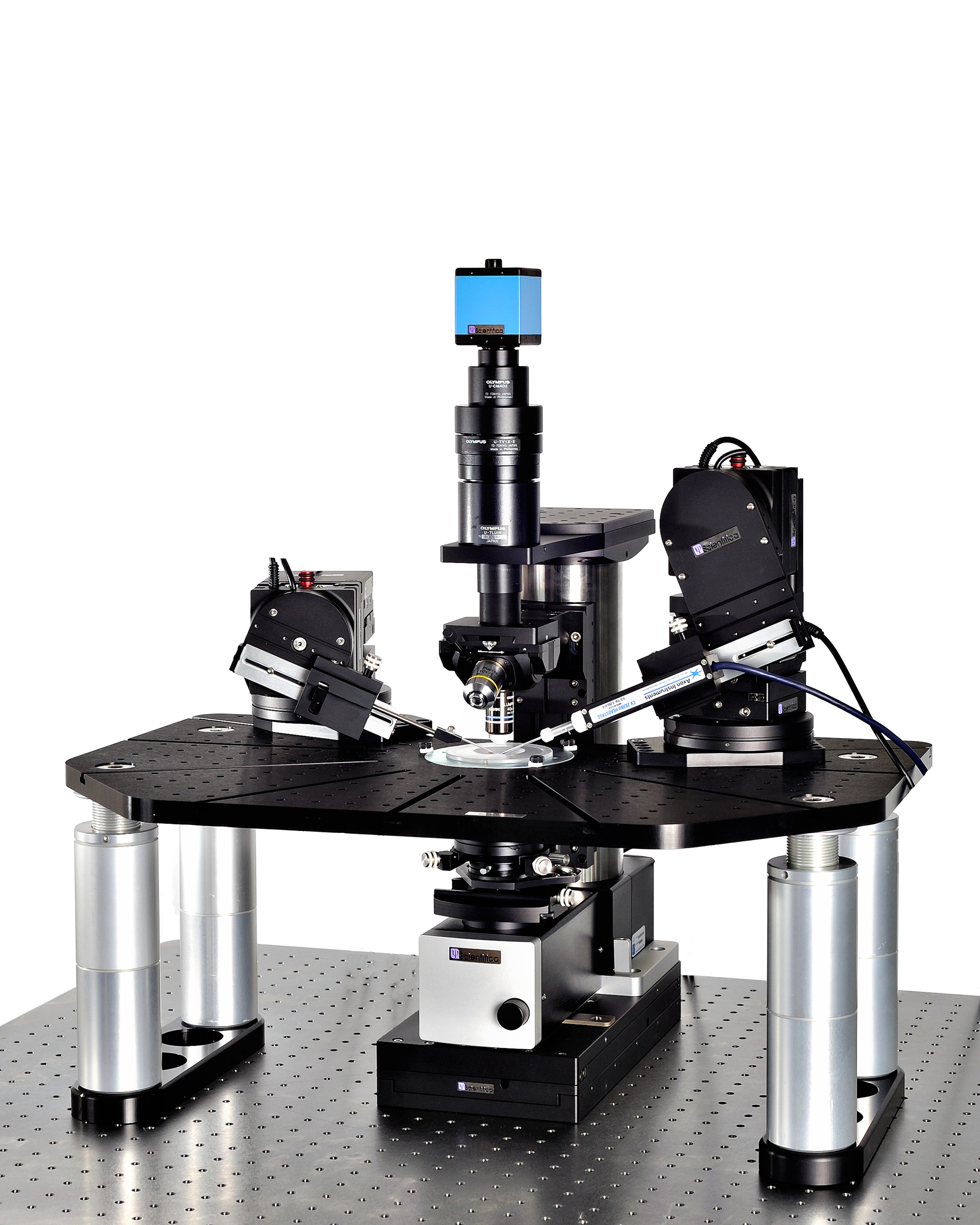 Scientifica SliceScope Pro 2000 Electrophysiology Rig