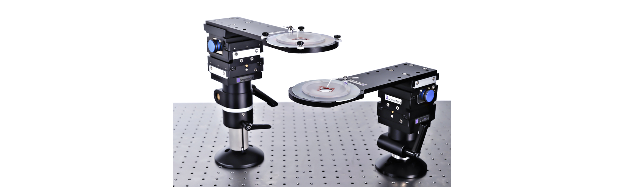 Scientifica Movable Sample Plate (MSP)