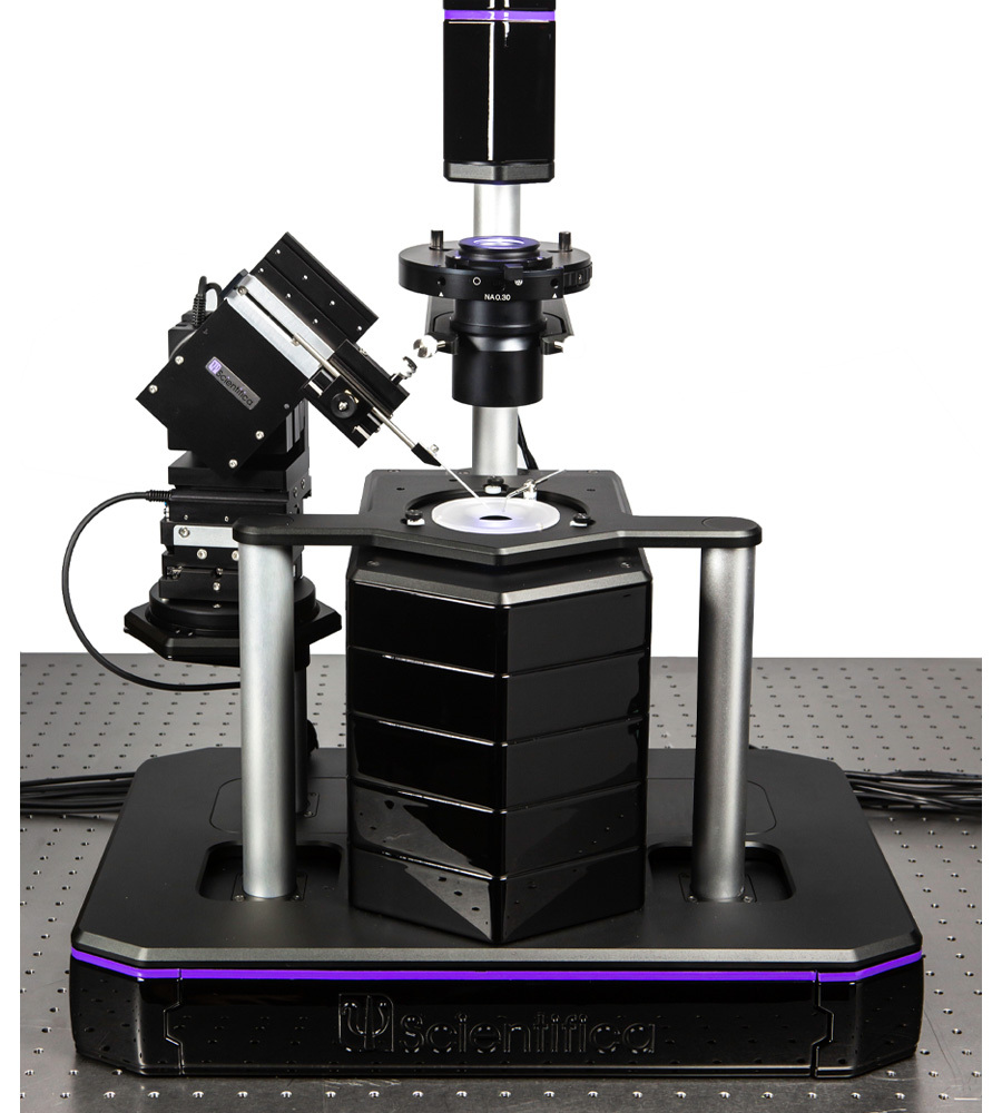 Scientifica PatchScope Pro 2000