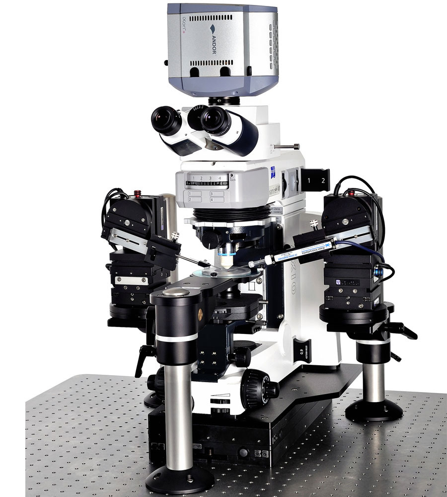 Scientifica Patch Pro 1000 Electrophysiology Rig Technical Data
