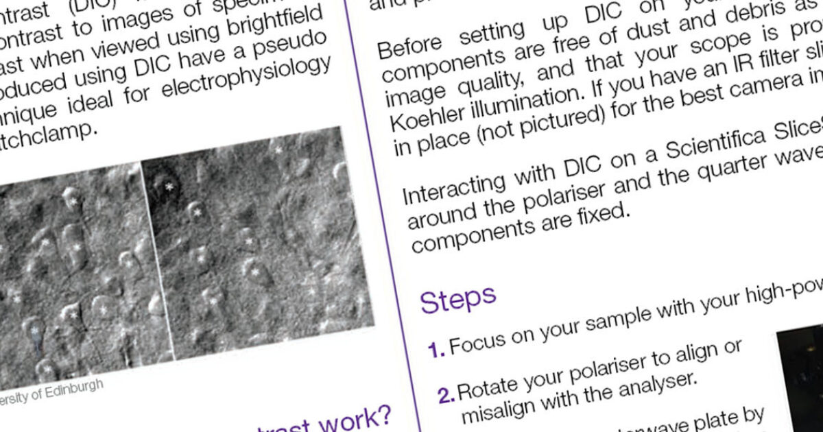 Poster Download: Setting Up DIC | Scientifica