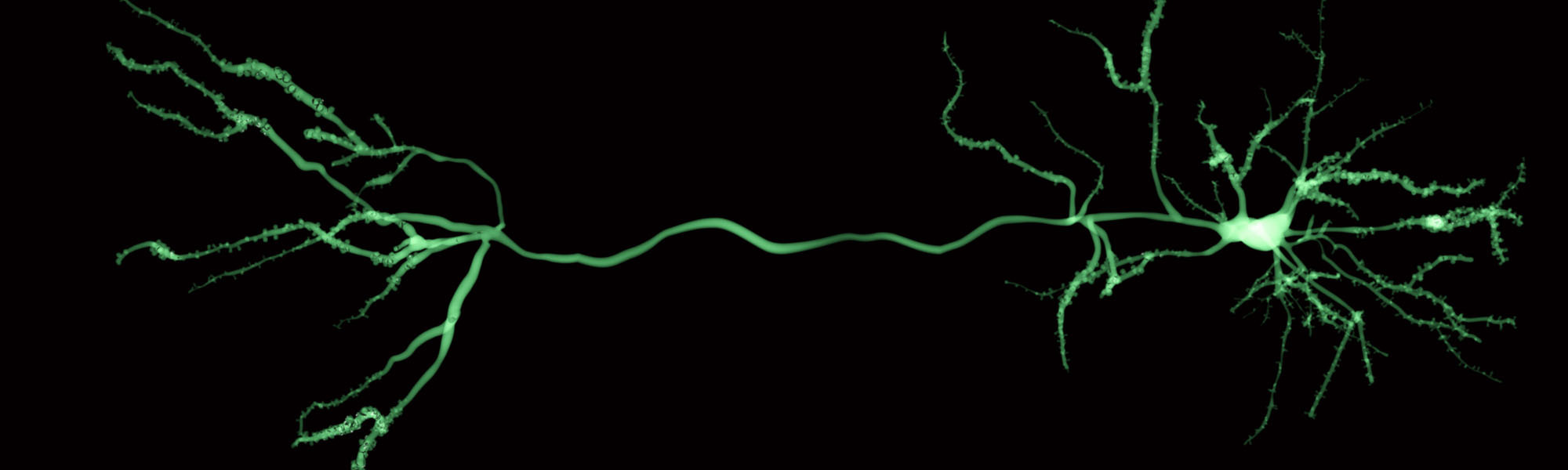 University of Oxford using Scientifica micromanipulators to investigate ...