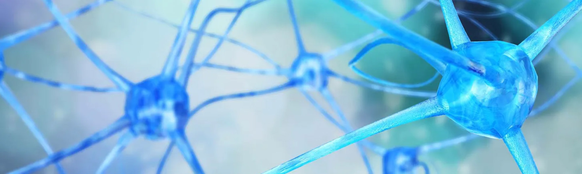 NEUReka ! Seminar Series - The emergence of cortical interneuron diversity.