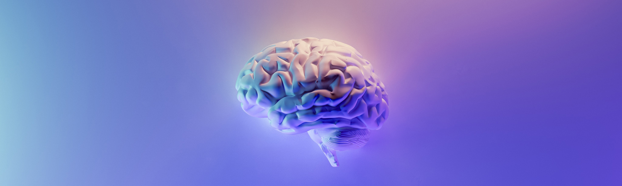 Scientifica’s best neuroscience research stories from March 2022