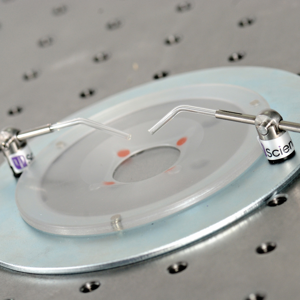 Scientifica Slice Recording Chamber kit